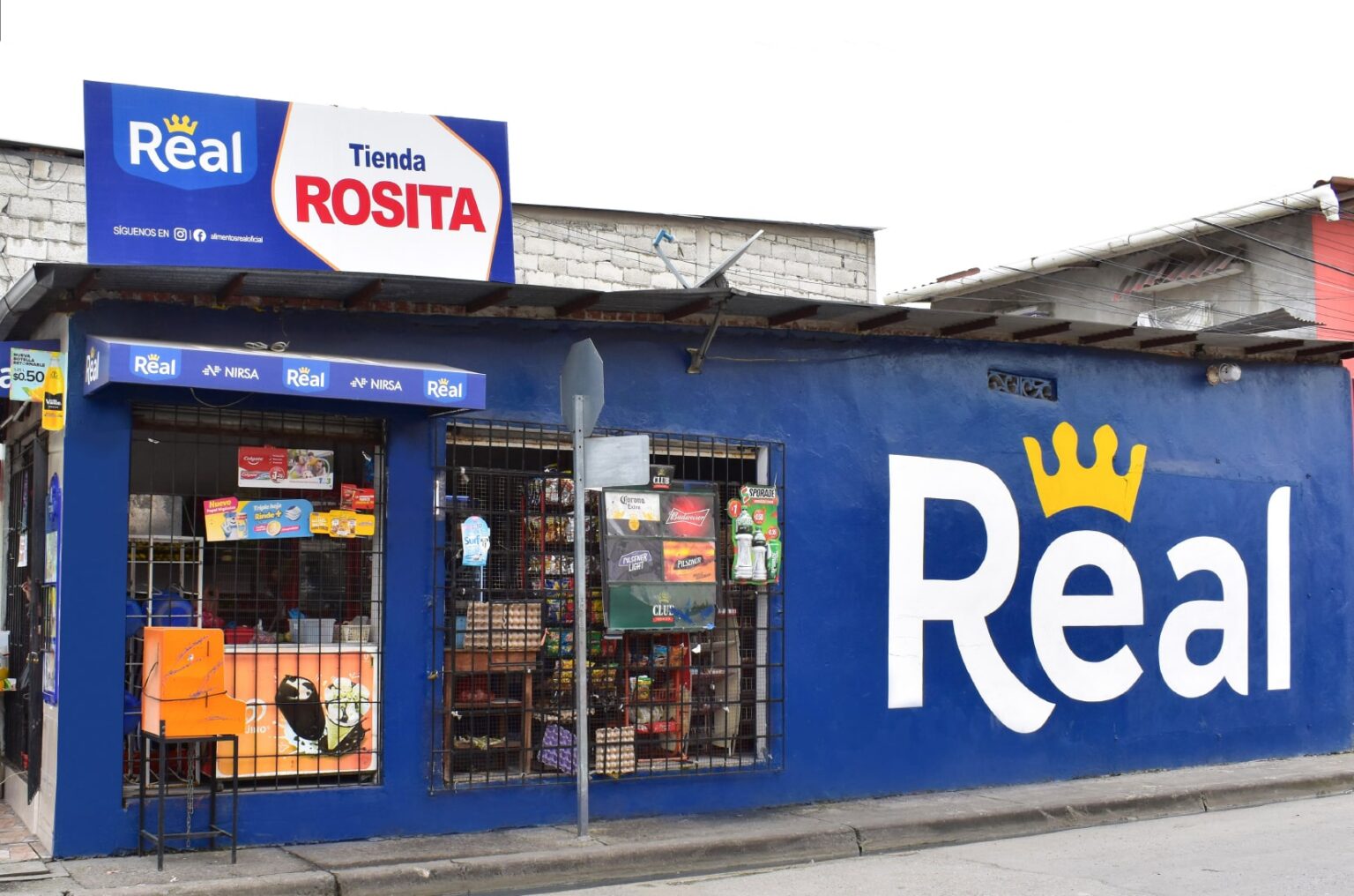 Nirsa y su plan “Pintura Real” para reactivar la Economía del país y ...